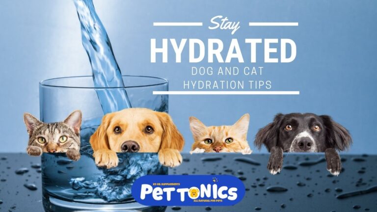 Dog Hydration - Natural Pet Tonics For Dogs and Cats