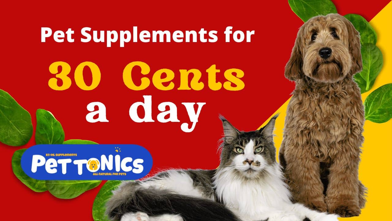 30 cents a day - Natural Pet Tonics For Dogs and Cats