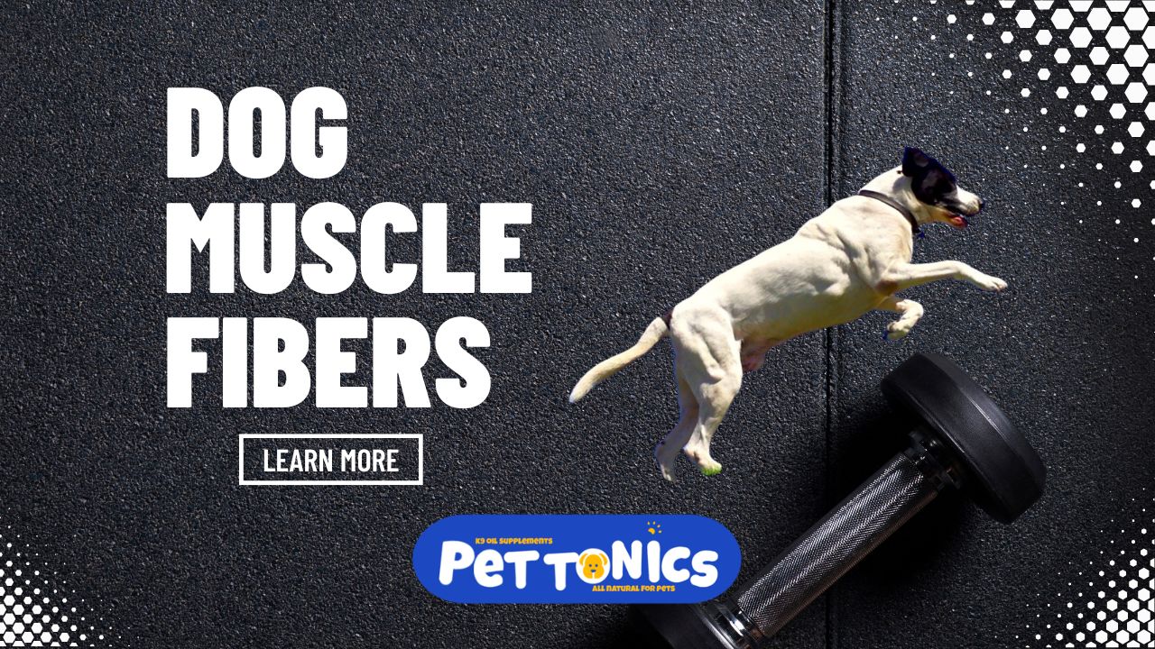Dog Muscle Fibers - Natural Pet Tonics For Dogs and Cats